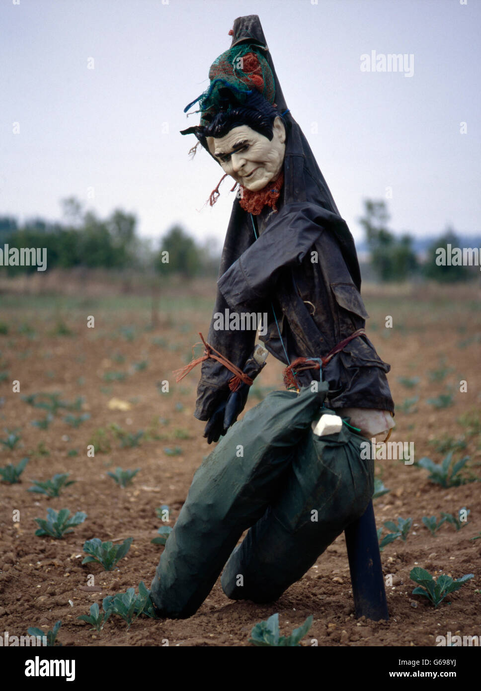 Scarecrow in the English landscape by Colin Garratt Stock Photo - Alamy