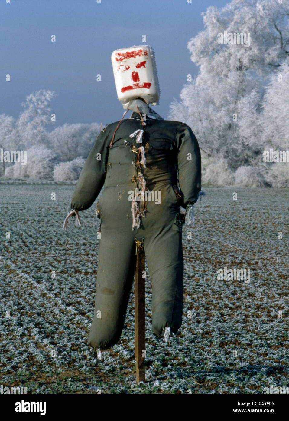 Scarecrow in the English landscape by Colin Garratt Stock Photo - Alamy