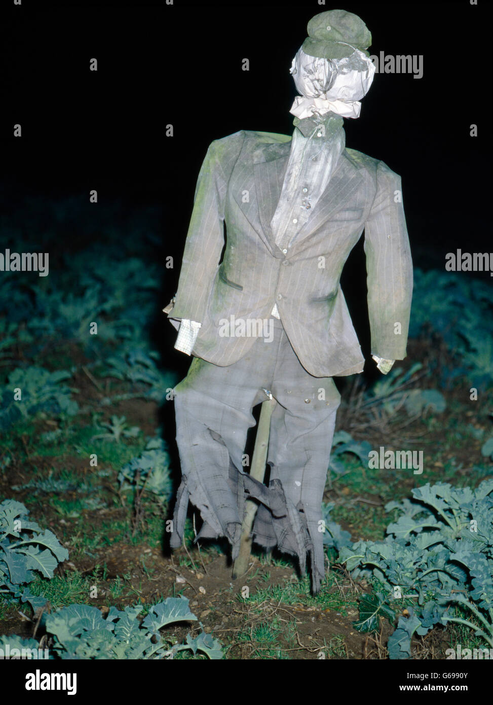 Scarecrow in the English landscape by Colin Garratt Stock Photo - Alamy