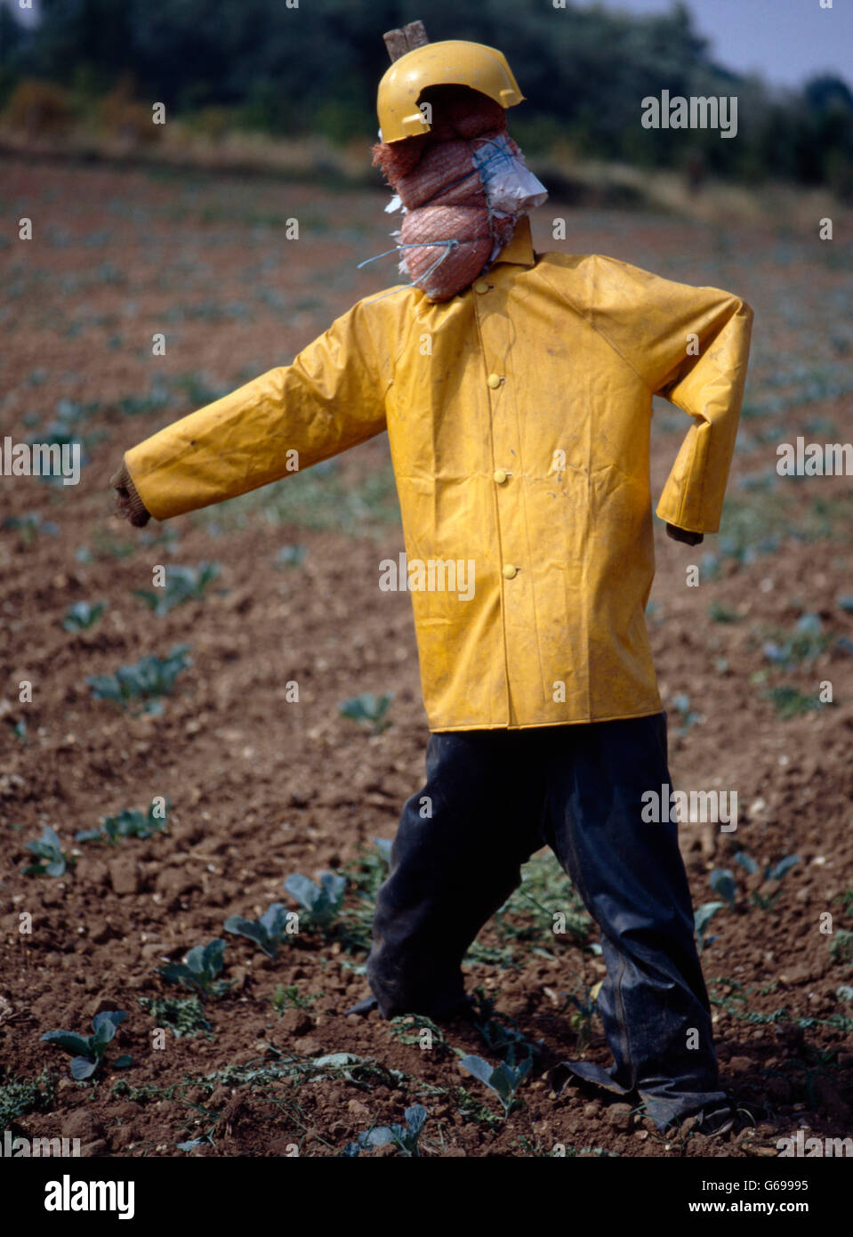 Scarecrow in the English landscape by Colin Garratt Stock Photo - Alamy