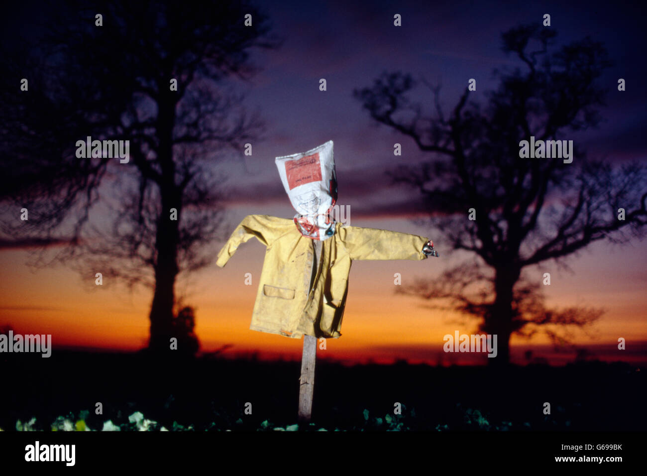 Colin garratt hi-res stock photography and images - Alamy