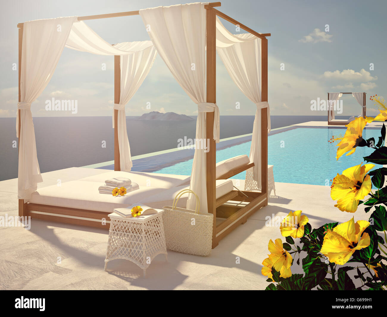 luxury swimming pool with hibiscus flower. color edit. 3d rendering ...