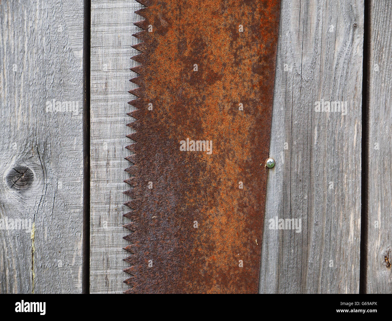 rusty saw hanging on a wooden wall Stock Photo - Alamy