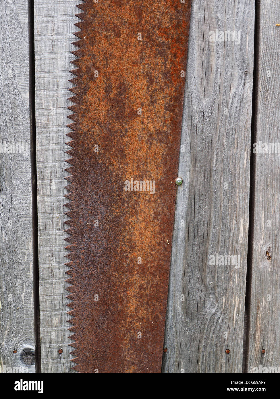 rusty saw hanging on a wooden wall Stock Photo - Alamy