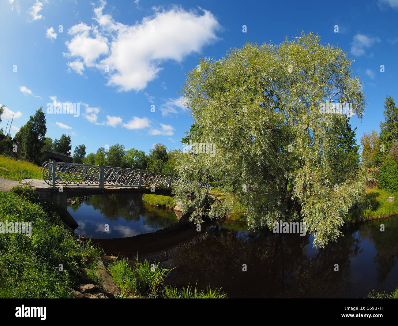 Bridge over the river in the park Stock Photo - Alamy