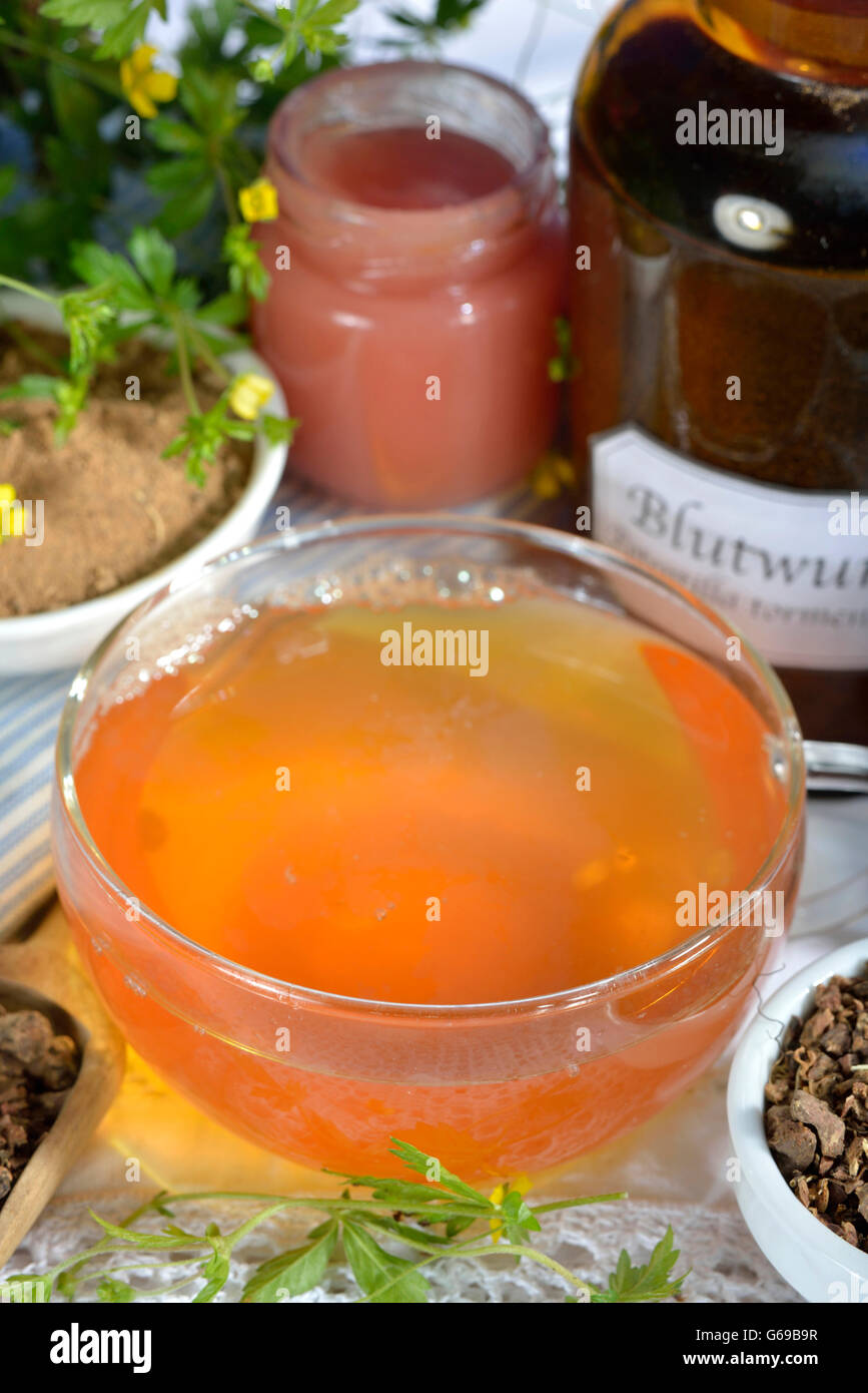 Tormentil tea hi-res stock photography and images - Alamy