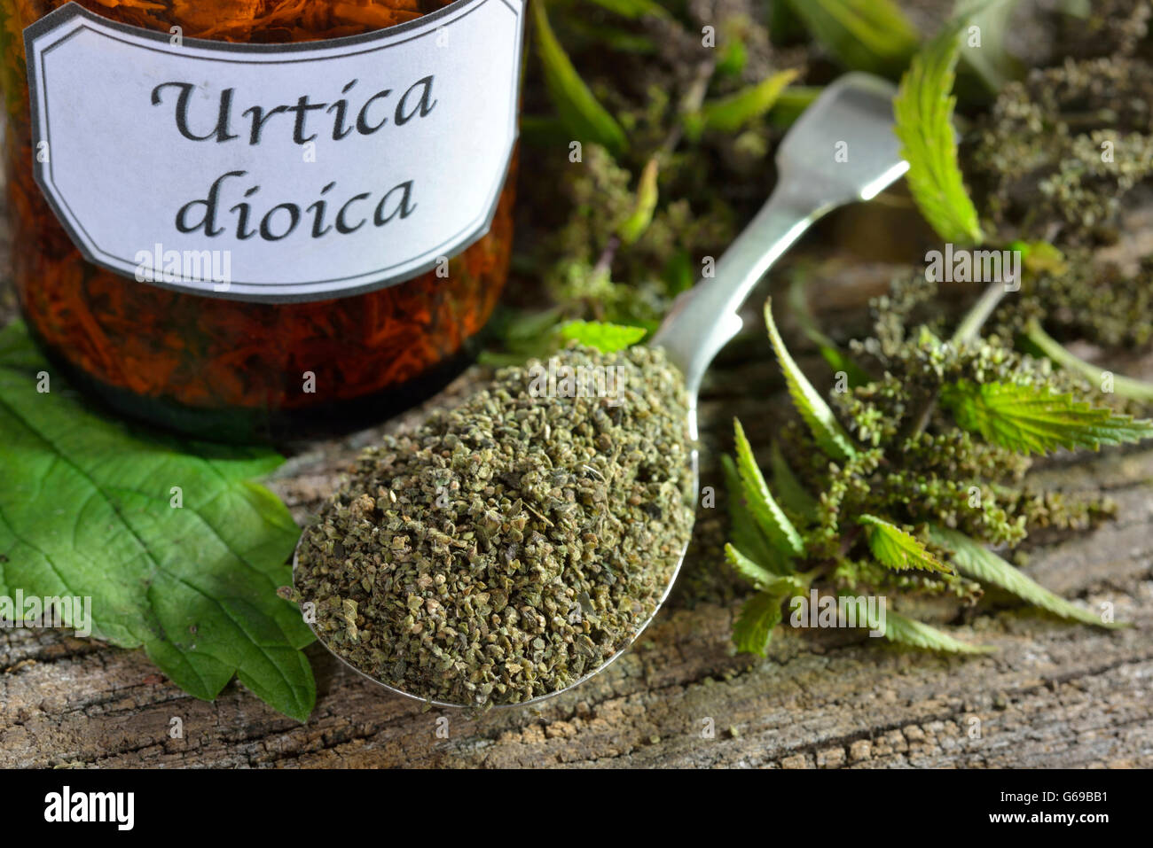 Nettle seed hi-res stock photography and images - Alamy