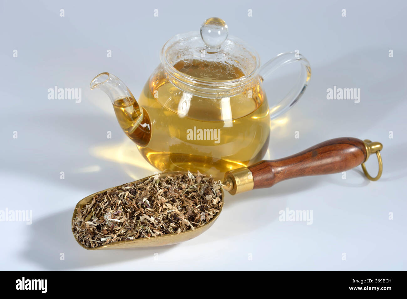 Iceland moss tea hi-res stock photography and images - Alamy