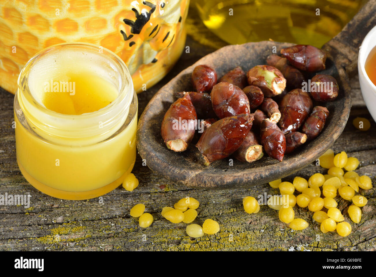 Chestnut buds and ointment / (Aesculus hippocastanum Stock Photo - Alamy