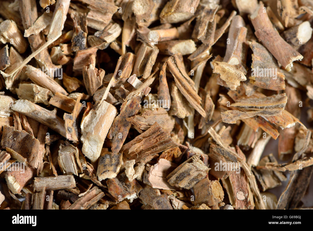 American sarsaparilla hi-res stock photography and images - Alamy