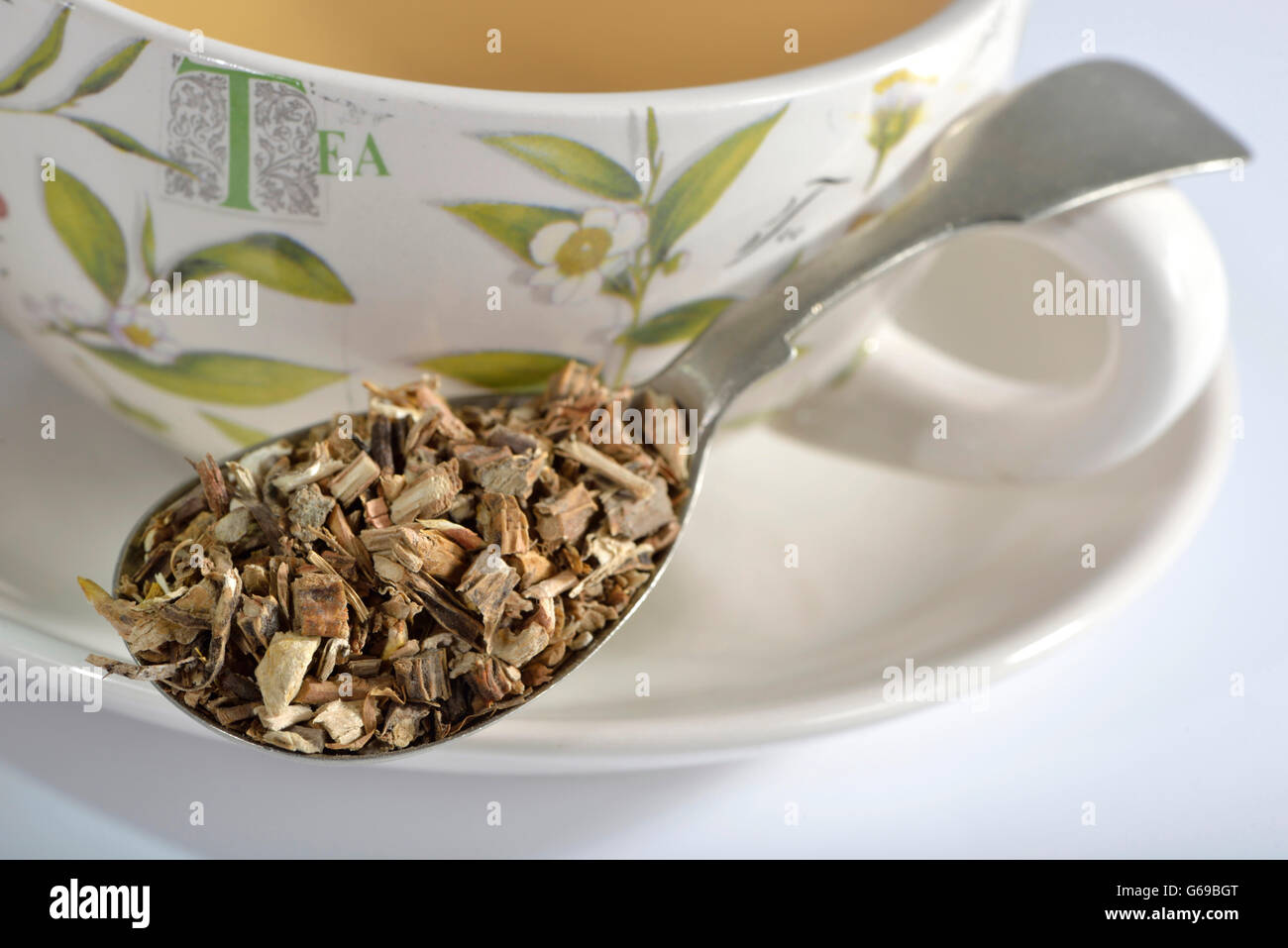 Sarsaparilla roots / (Sarsaparilla, Radix Sarsaparillae) / American ...