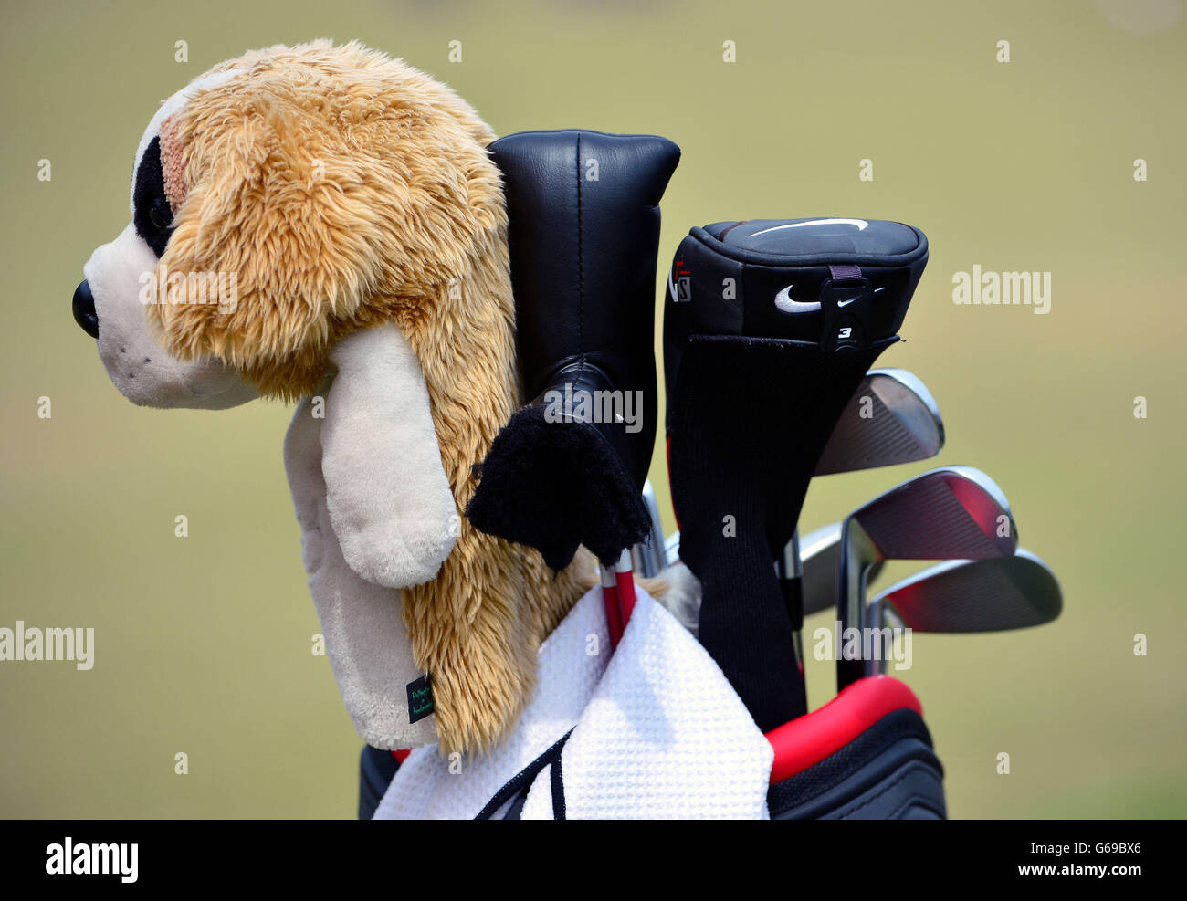 Golf club cover hi-res stock photography and images - Alamy