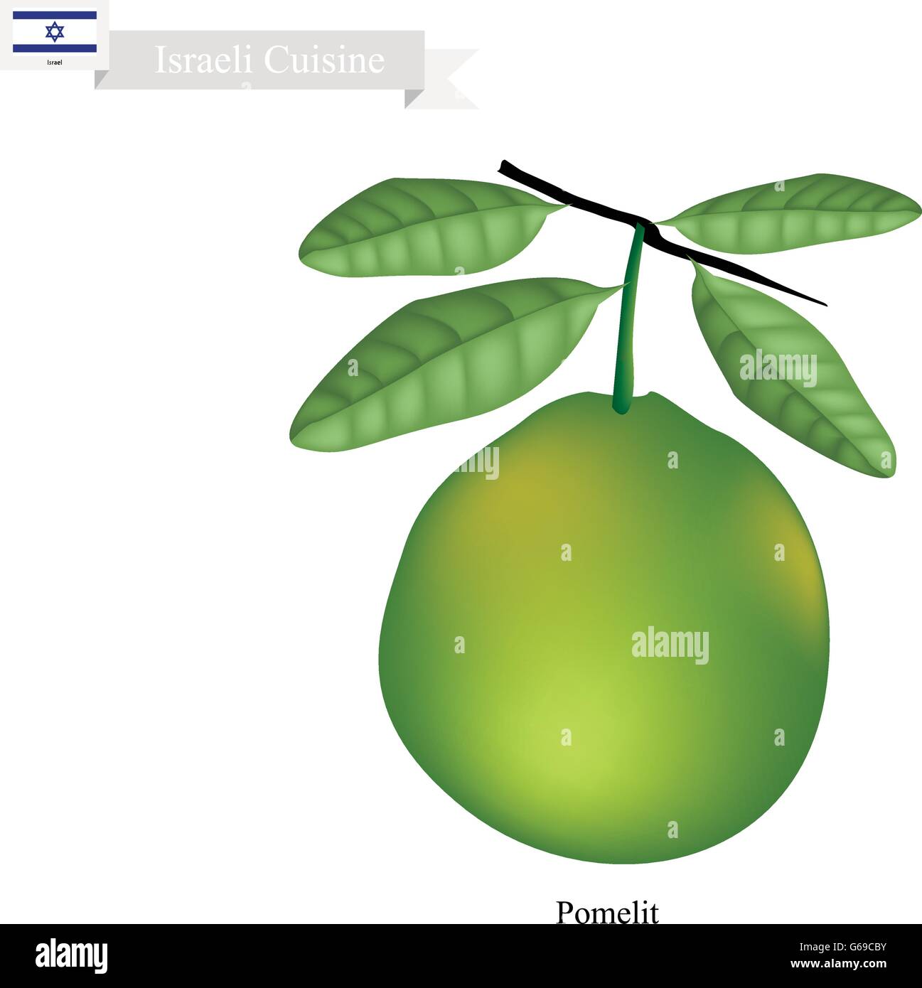 Israel Fruit, Illustration of Pomelit. One of The Most Popular Fruits ...