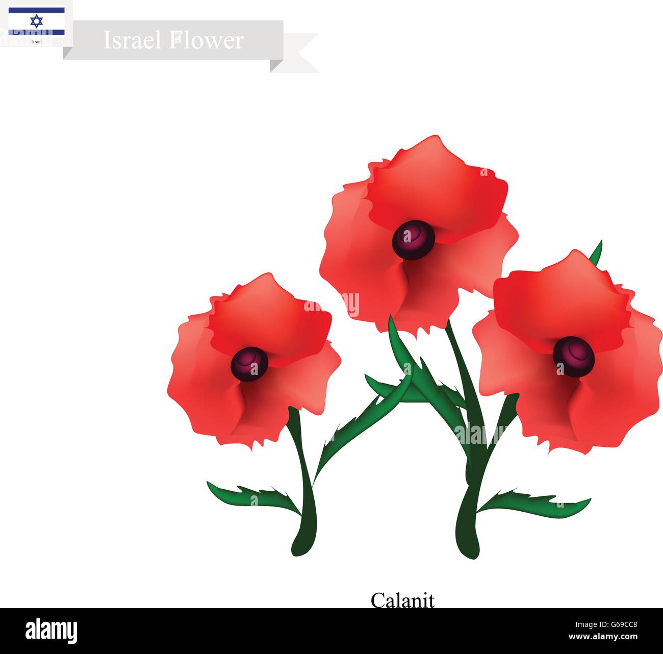Israel Flower, Illustration of Calanit or Anemone Flowers. One of The ...