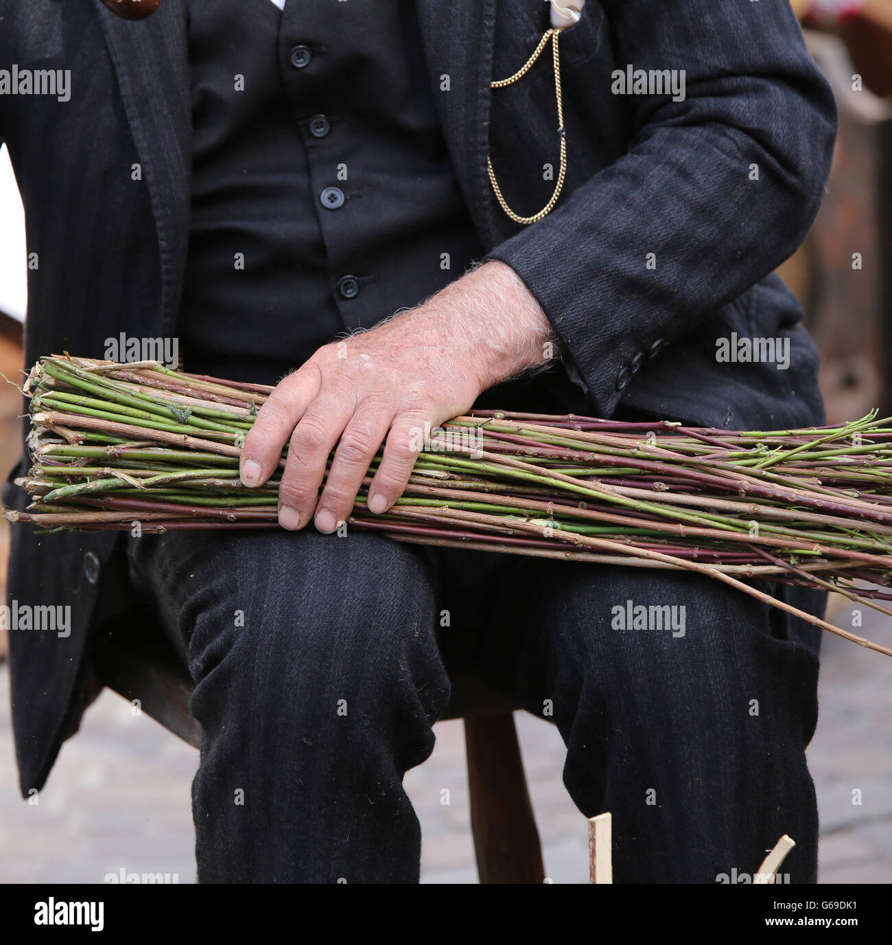 elderly man with a big and strong hand tightens the bundle of sticks ...
