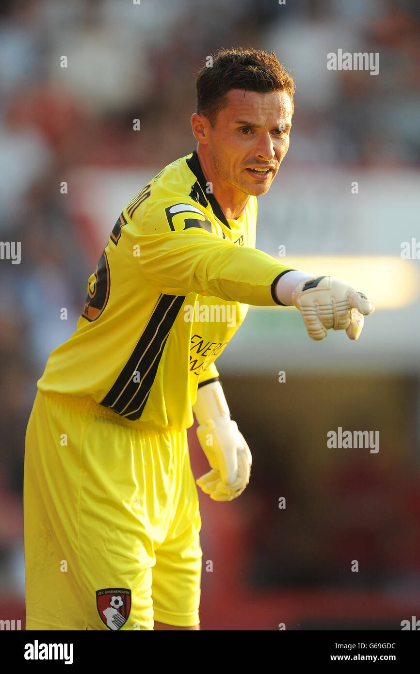 Bournemouth goalkeeper darryl flahavan hi-res stock photography and ...