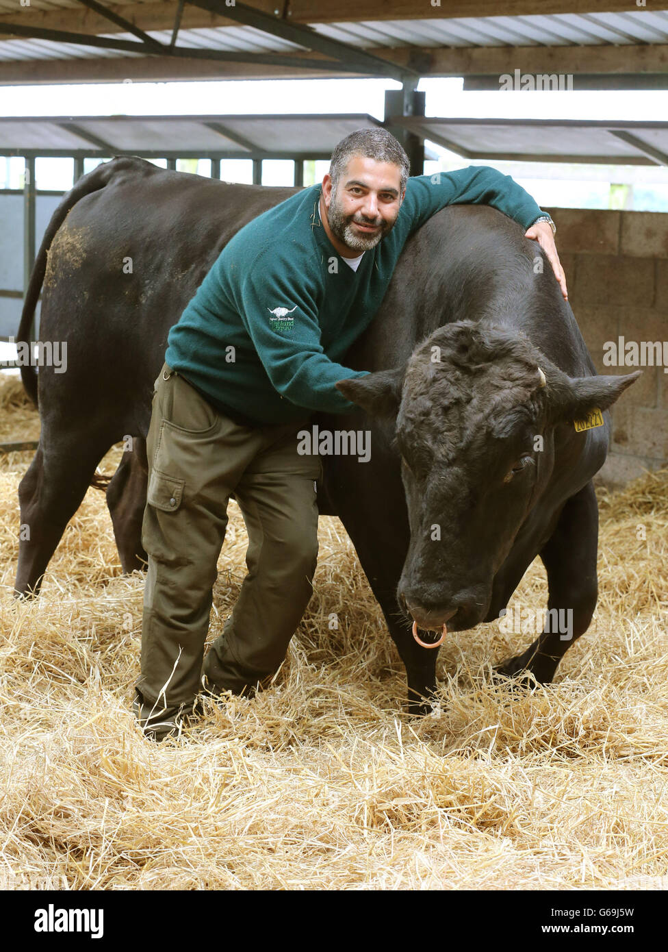 Mohsin al tajir with thor the bull hi-res stock photography and images ...