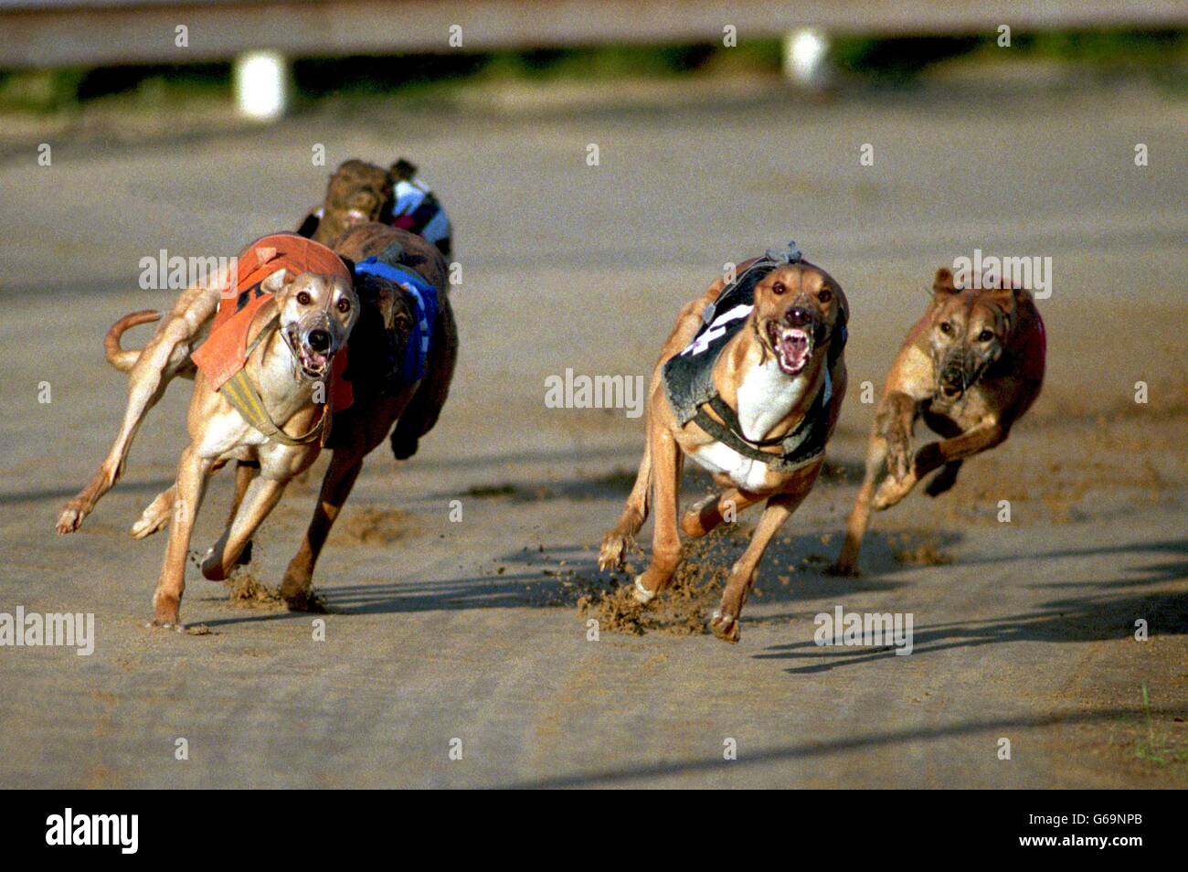 Nottingham Greyhound Racing Stock Photo - Alamy