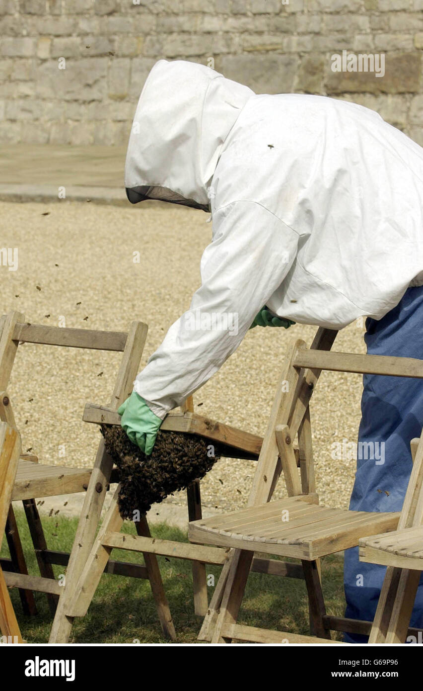 Queen bees windsor castle hi-res stock photography and images - Alamy