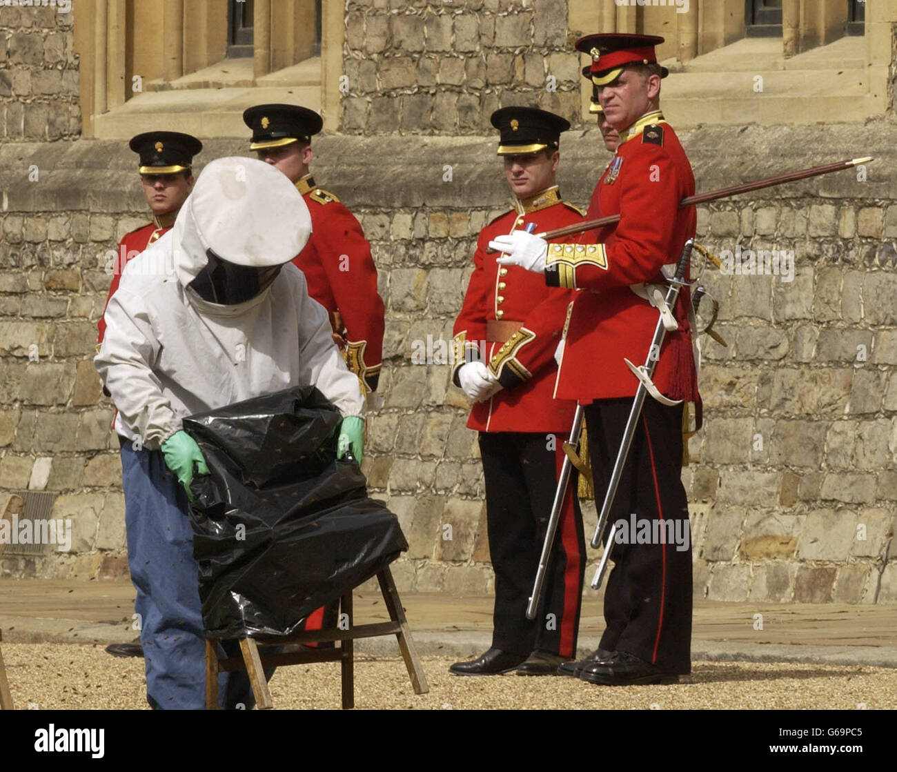A bee keeper removes a swarm of bees which had attached itself to a ...
