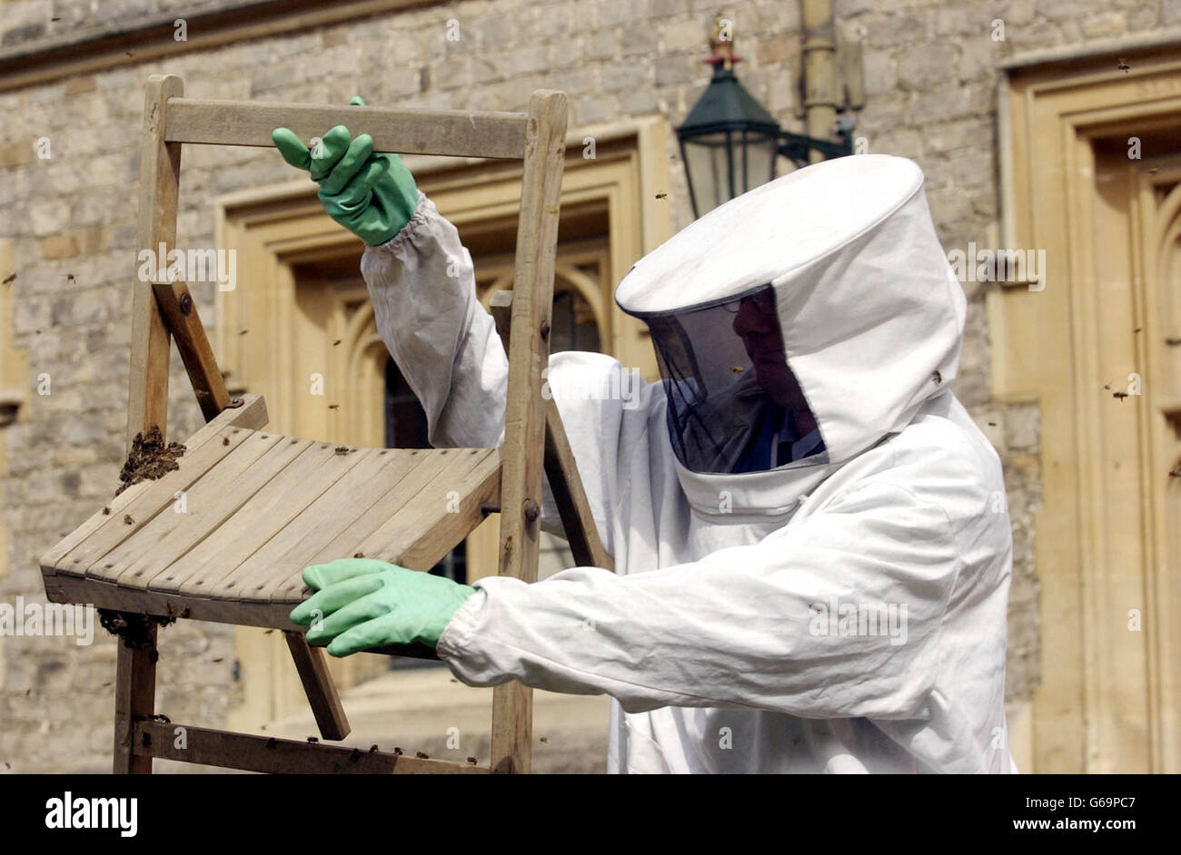 Swarm of bees at windsor castle hi-res stock photography and images - Alamy