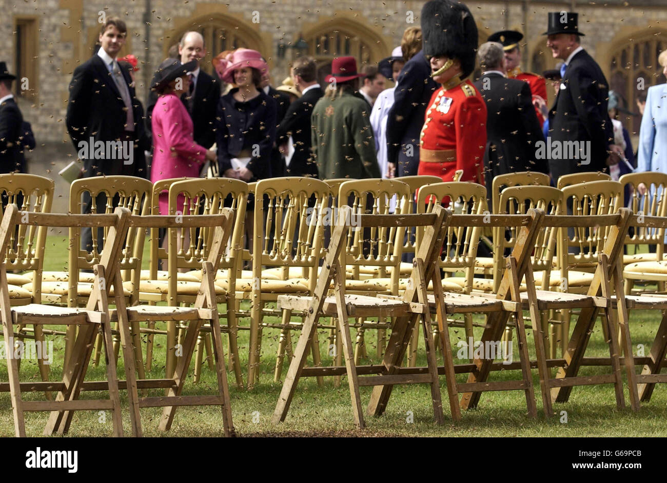 Swarm of bees at windsor castle hi-res stock photography and images - Alamy