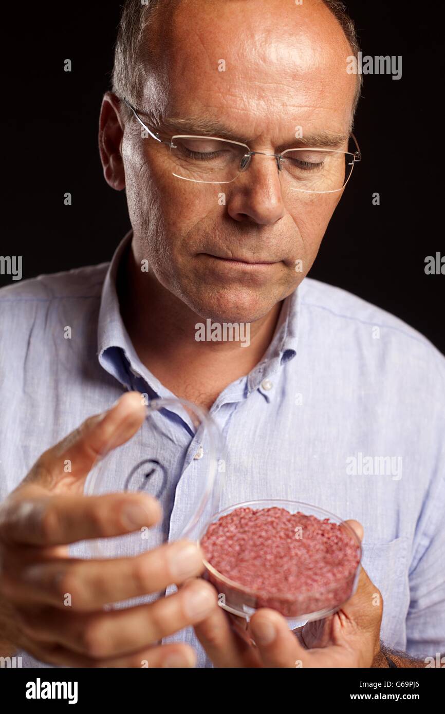 Lab grown meat burger hi-res stock photography and images - Alamy
