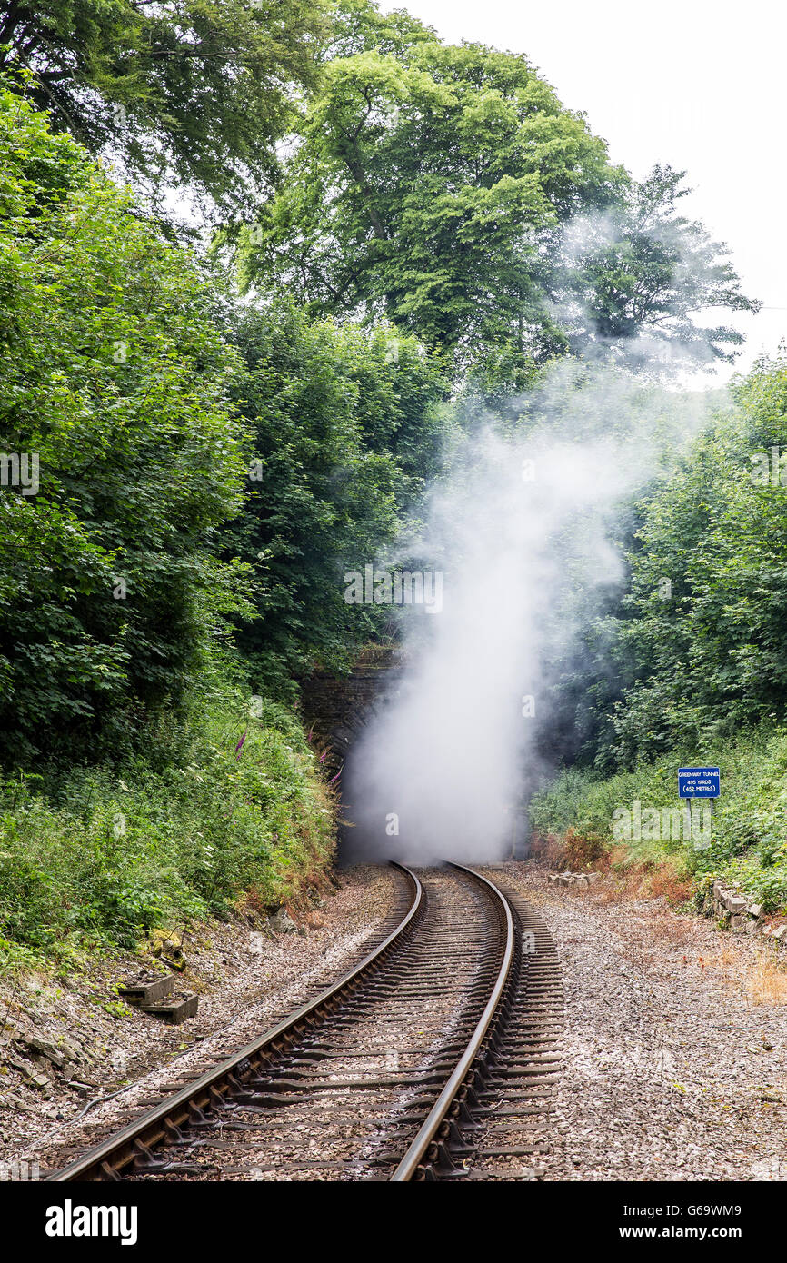 Smoke from steam engine leaves greenway tunnel hi-res stock photography ...