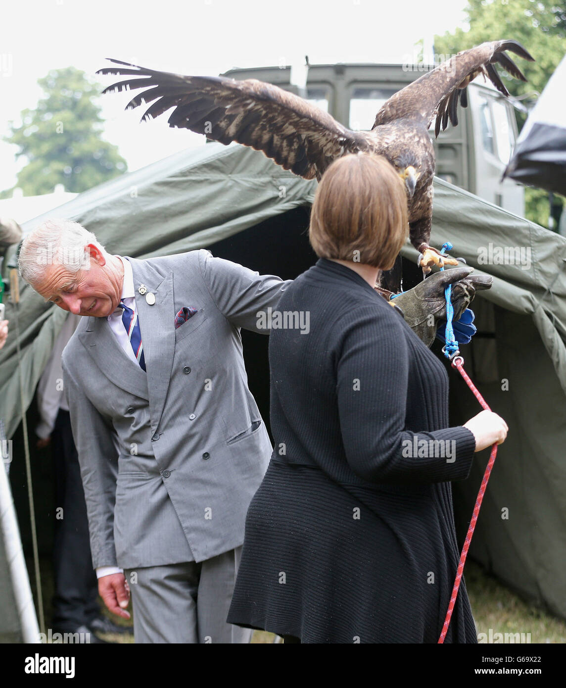 The Prince of Wales holds a bald eagle called Zephyr during a visit to ...