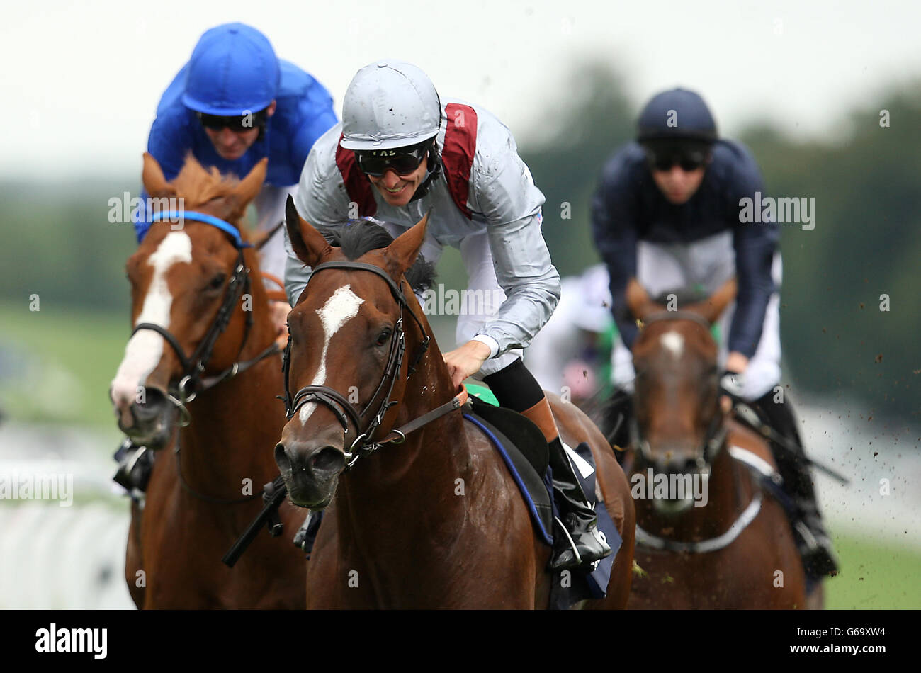 Toronado horse hi-res stock photography and images - Alamy