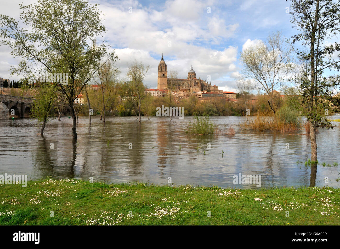 Tormes River flood and the cathedral of Salamanca, Spain Stock Photo ...