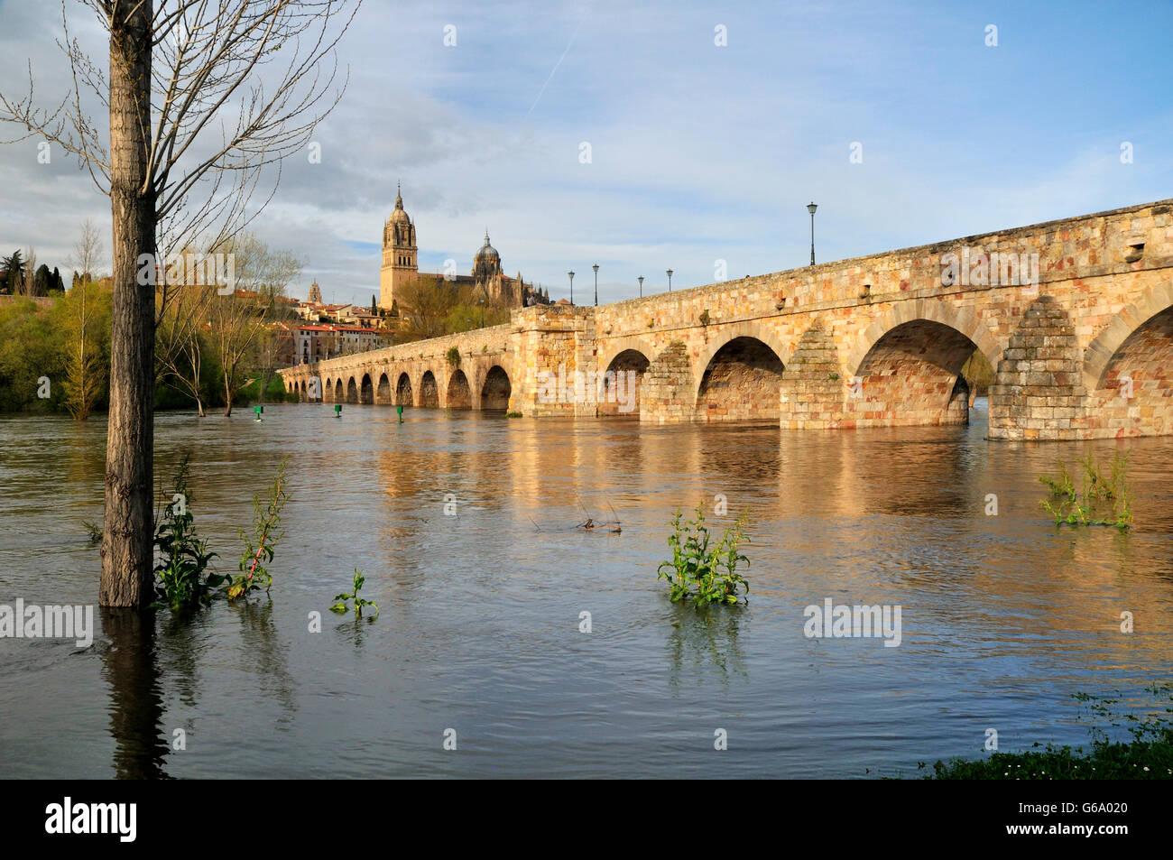 Roman Bridge and old cathedral of Salamanca, Spain Stock Photo - Alamy