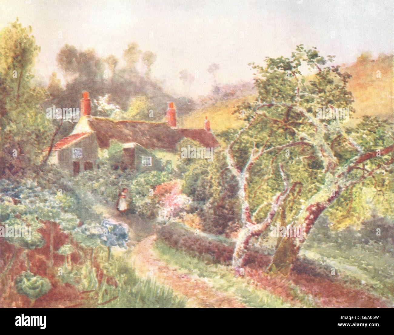 CHANNEL ISLANDS: Petit Bot Valley, Guernsey, antique print 1904 Stock ...
