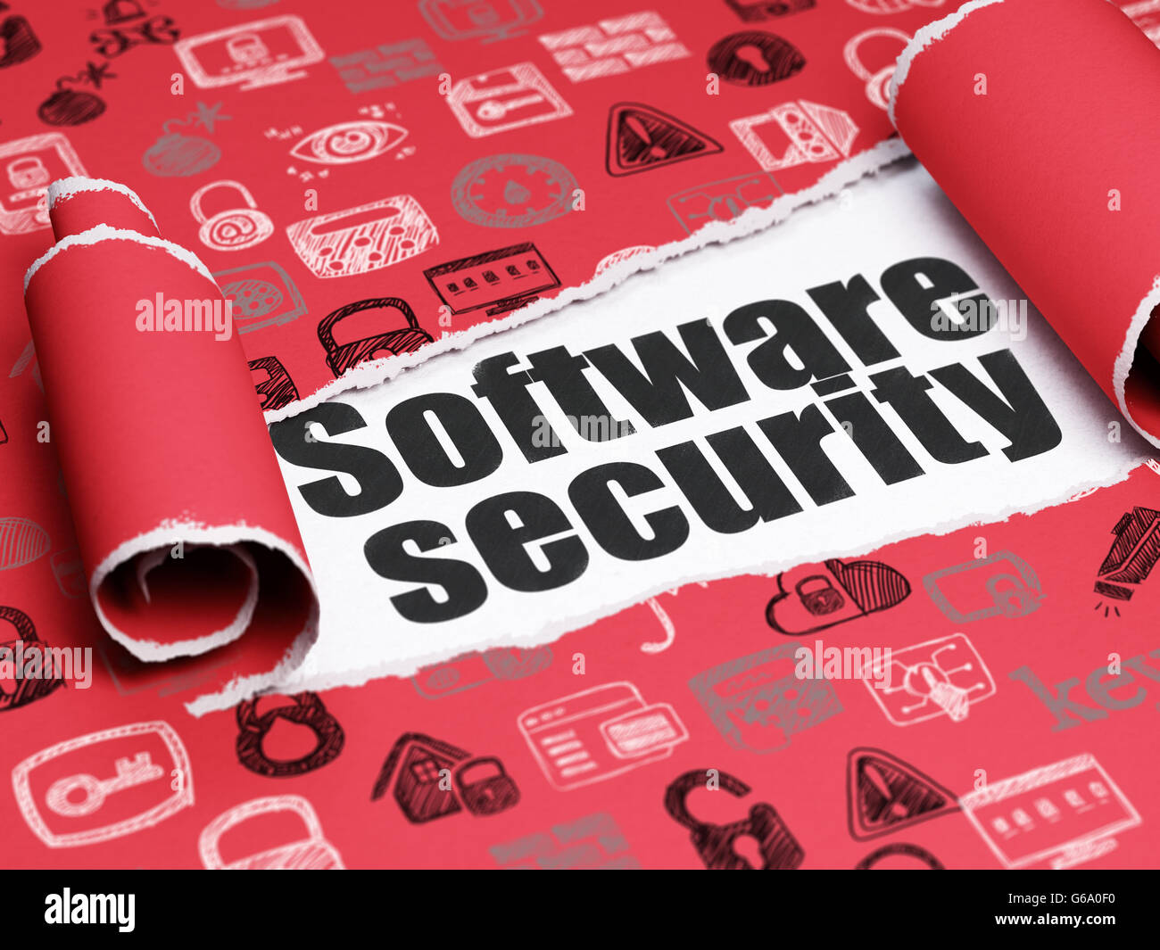 Privacy concept: black text Software Security under the piece of torn ...