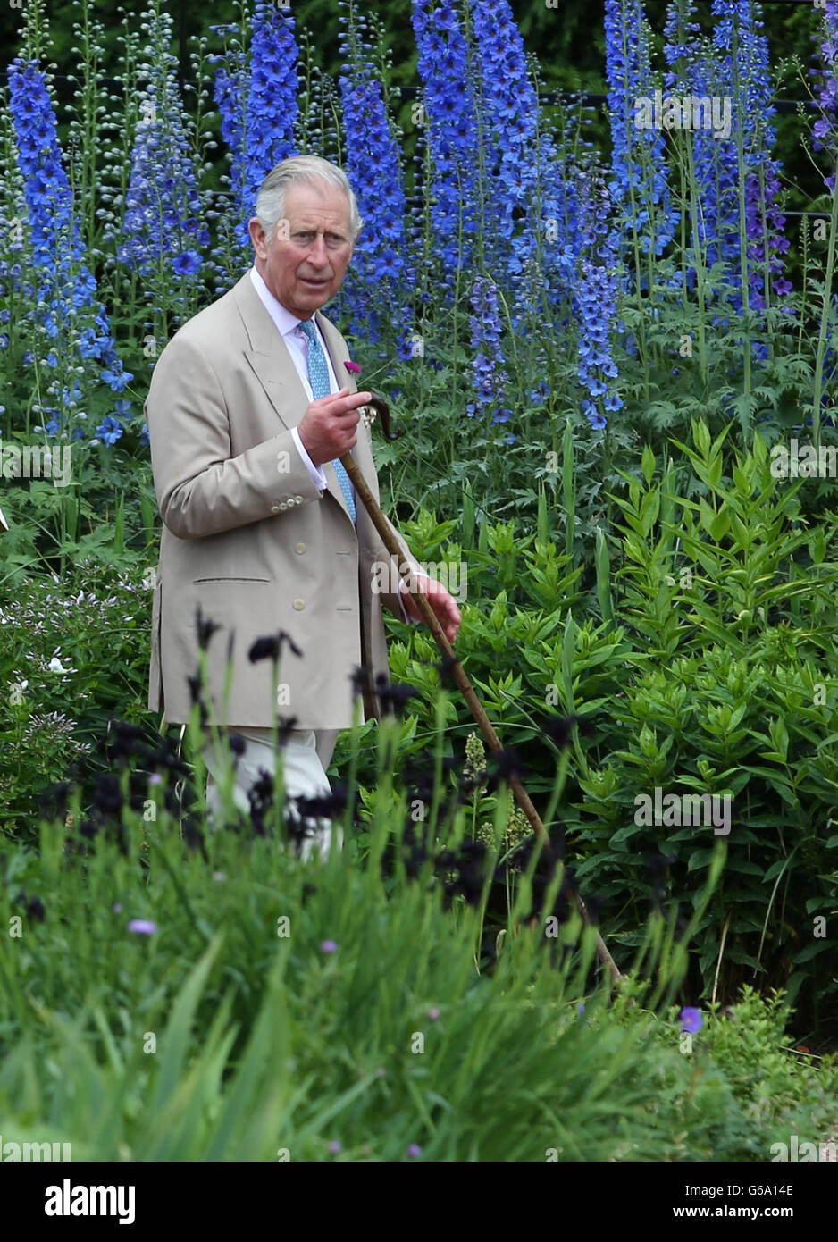 The Prince of Wales, known as the Duke of Rothesay while in Scotland ...