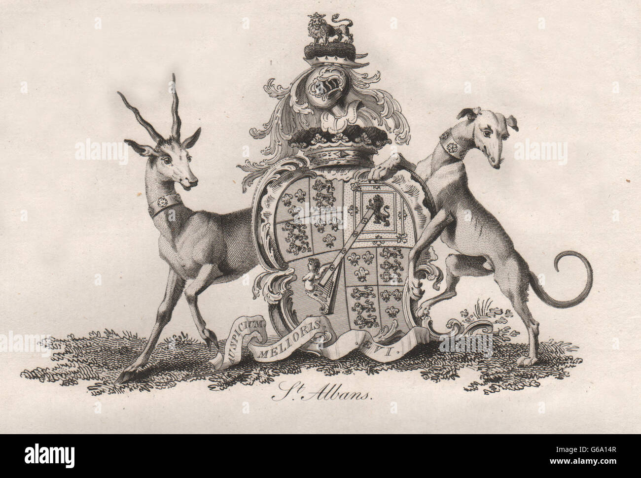 St albans coat of arms hi-res stock photography and images - Alamy