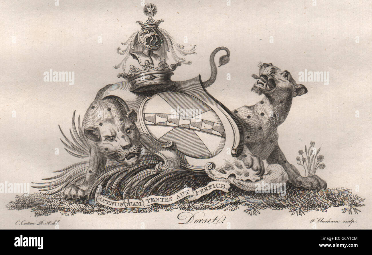 DORSET: Coat of Arms. Heraldry, antique print 1790 Stock Photo - Alamy