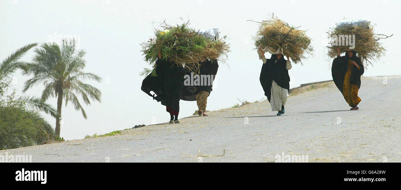 Women working in Iraq Stock Photo - Alamy