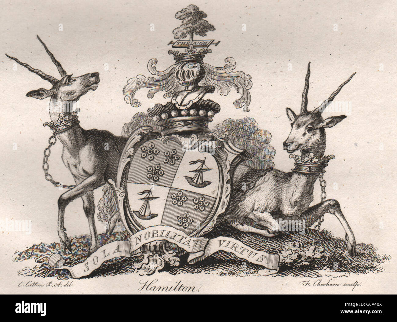 HAMILTON: Coat of Arms. Heraldry, antique print 1790 Stock Photo - Alamy