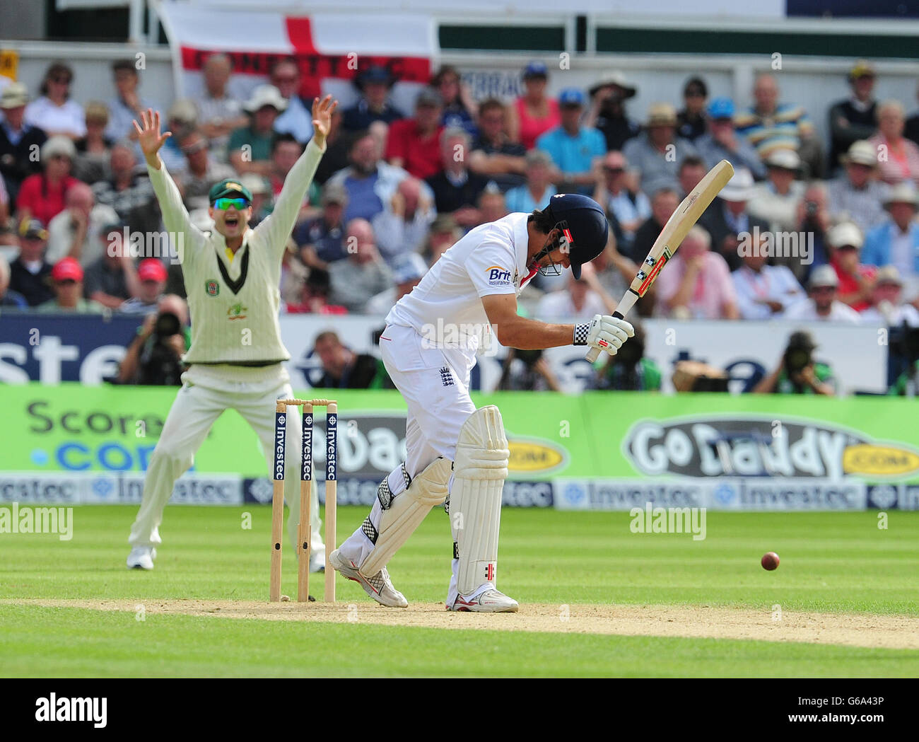 Australia players celebrate as England's Alastair Cook is out lbw from ...