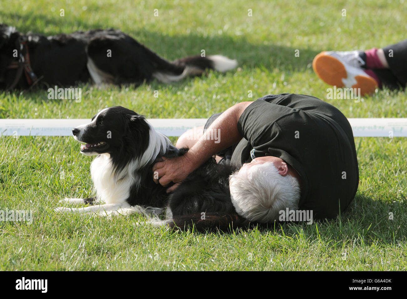Guinness world record dog hi-res stock photography and images - Alamy
