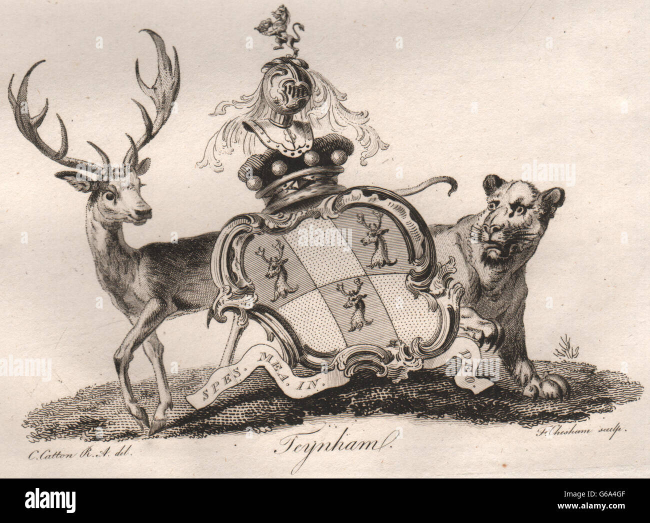 TEYNHAM: Coat of Arms. Heraldry, antique print 1790 Stock Photo - Alamy