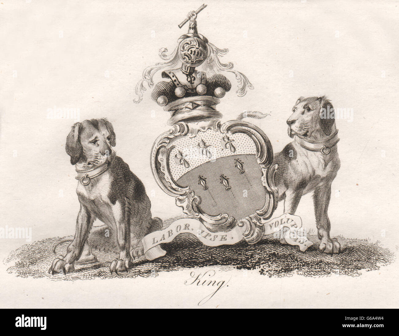 KING: Coat of Arms. Heraldry, antique print 1790 Stock Photo - Alamy
