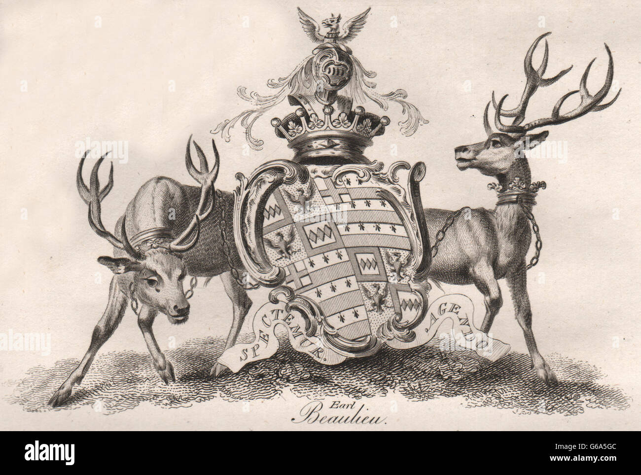 EARL BEAULIEU: Coat of Arms. Heraldry, antique print 1790 Stock Photo ...