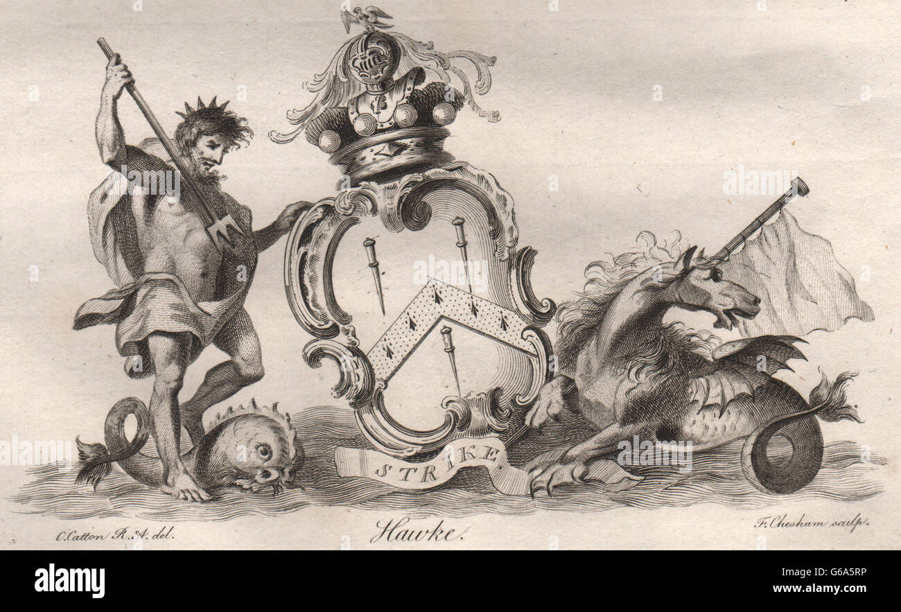 HAWKE: Coat of Arms. Heraldry, antique print 1790 Stock Photo - Alamy