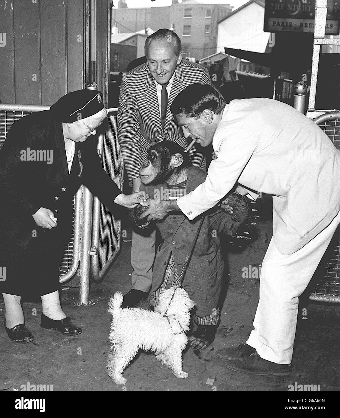 Sam w Black and White Stock Photos & Images - Alamy