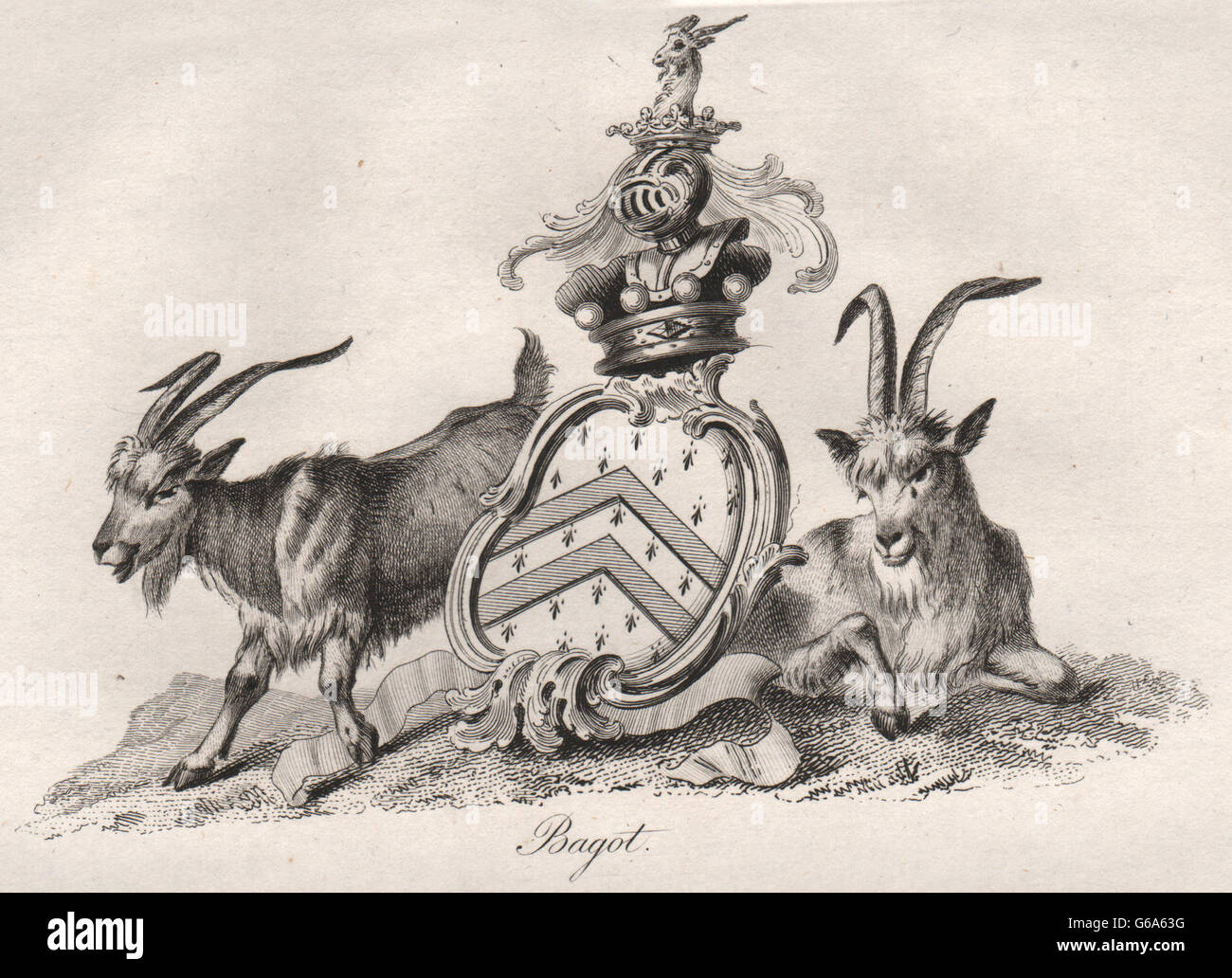 Bagot arms hi-res stock photography and images - Alamy