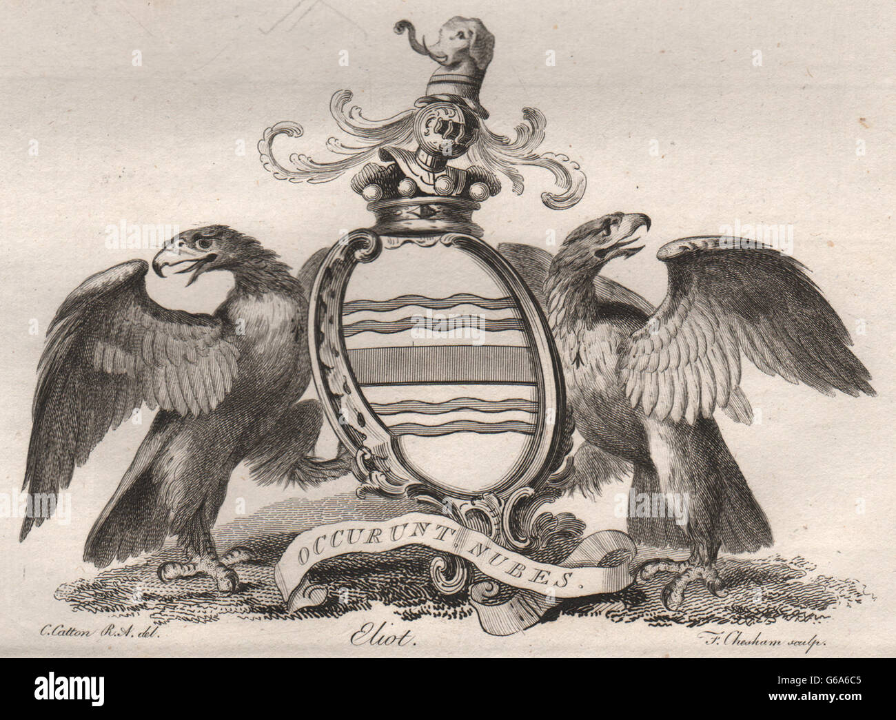 ELIOT: Coat of Arms. Heraldry, antique print 1790 Stock Photo - Alamy