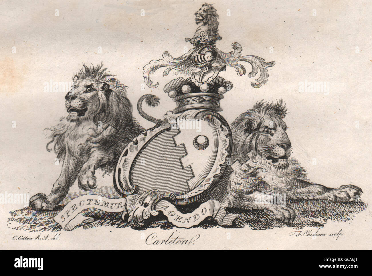 CARLETON: Coat of Arms. Heraldry, antique print 1790 Stock Photo - Alamy