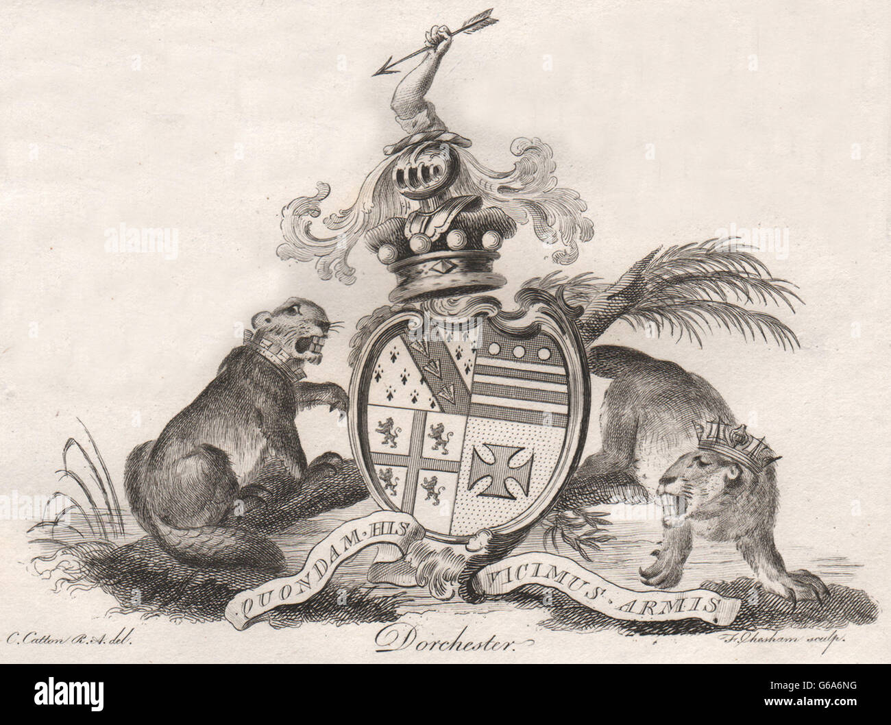 Dorchester boston hi-res stock photography and images - Alamy